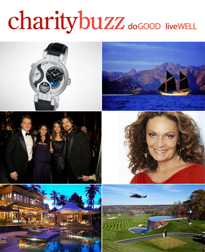 Charitybuzz buzzes with holiday gift charity auction | LadyLUX - Online ...