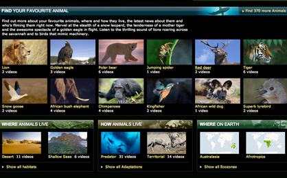 BBC Launches Largest Virtual Zoo Online | LadyLUX - Online Luxury ...