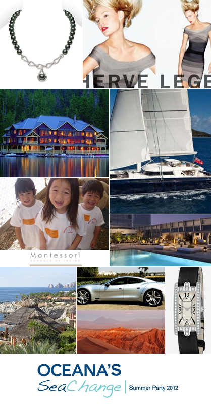 10 extraordinary items benefiting Oceana’s SeaChange 2012 Auction ...